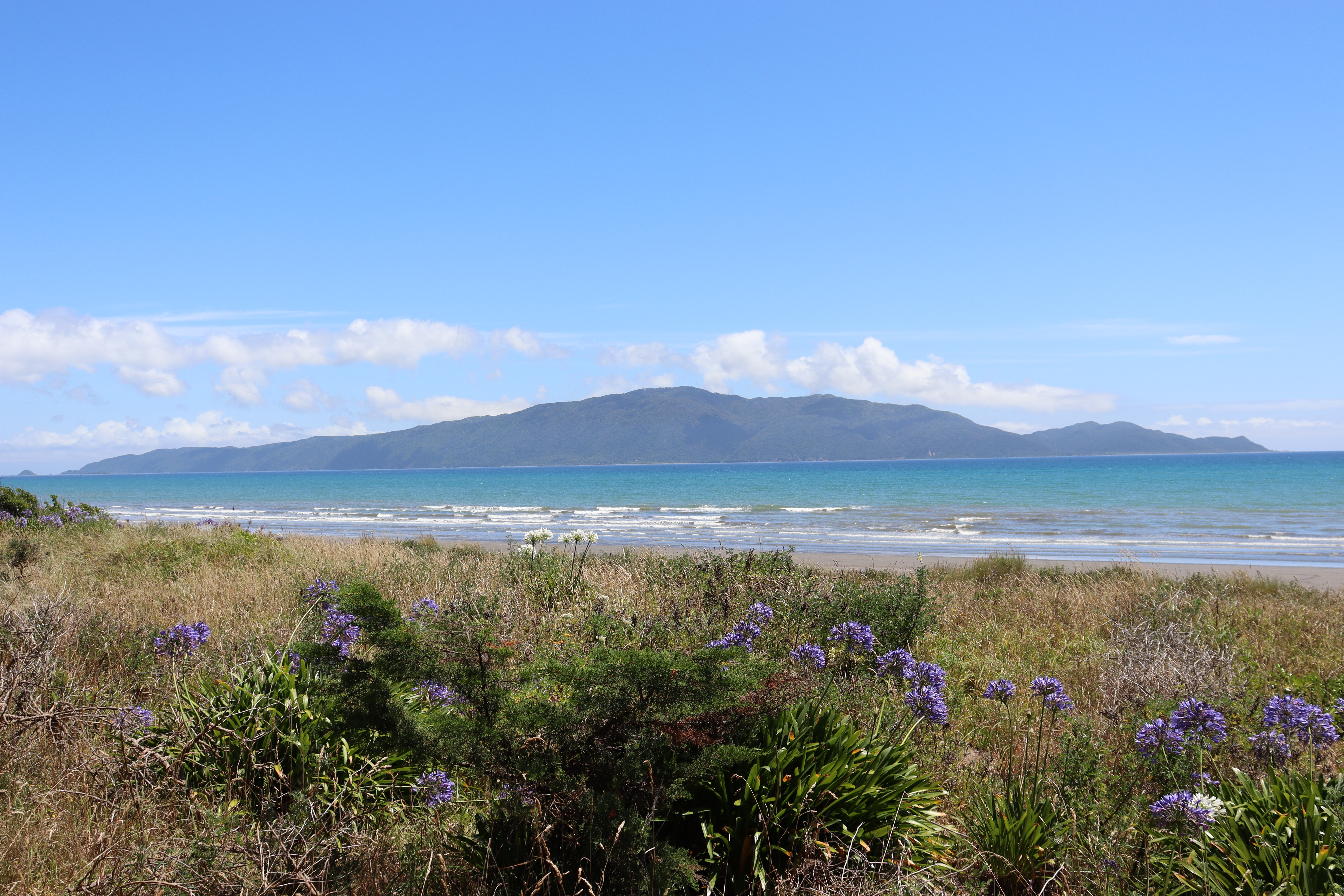 Raumati Beach December 2023